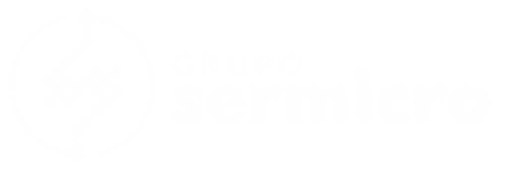Sobre Nosotros – Grupo Sermicro